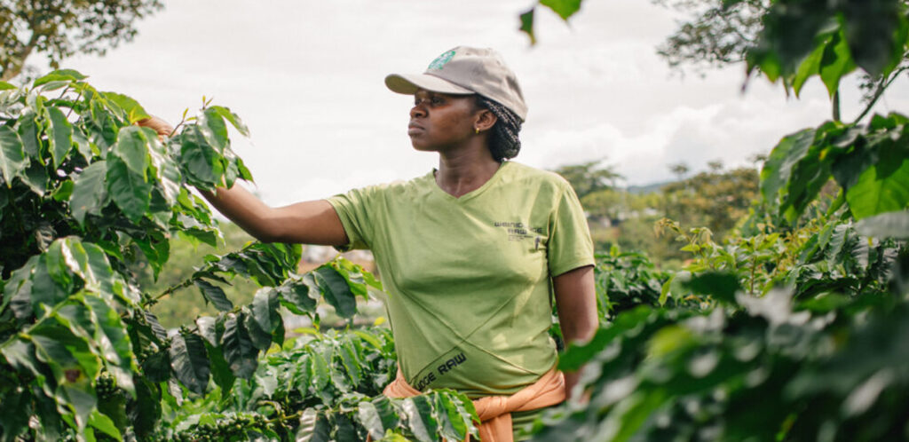 Ethical Sourcing Archives - Page 3 of 7 - Starbucks Stories Japan